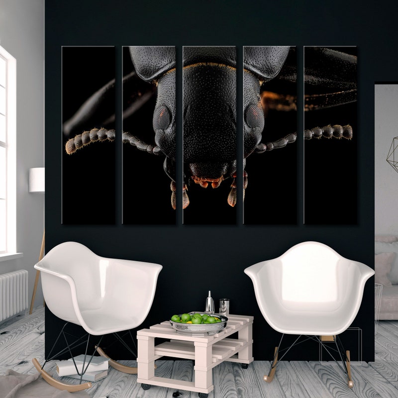 Insect Wall Art - Etsy