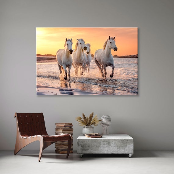 Witte Paarden Rennen Behang Rennend Wit Paard Fotobehang, Makkelijk