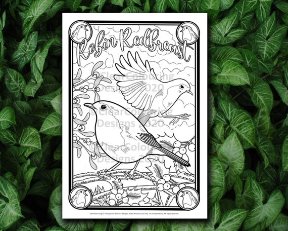 ROBIN REDBREAST A4 Colouring Single Page Download PDF | Etsy