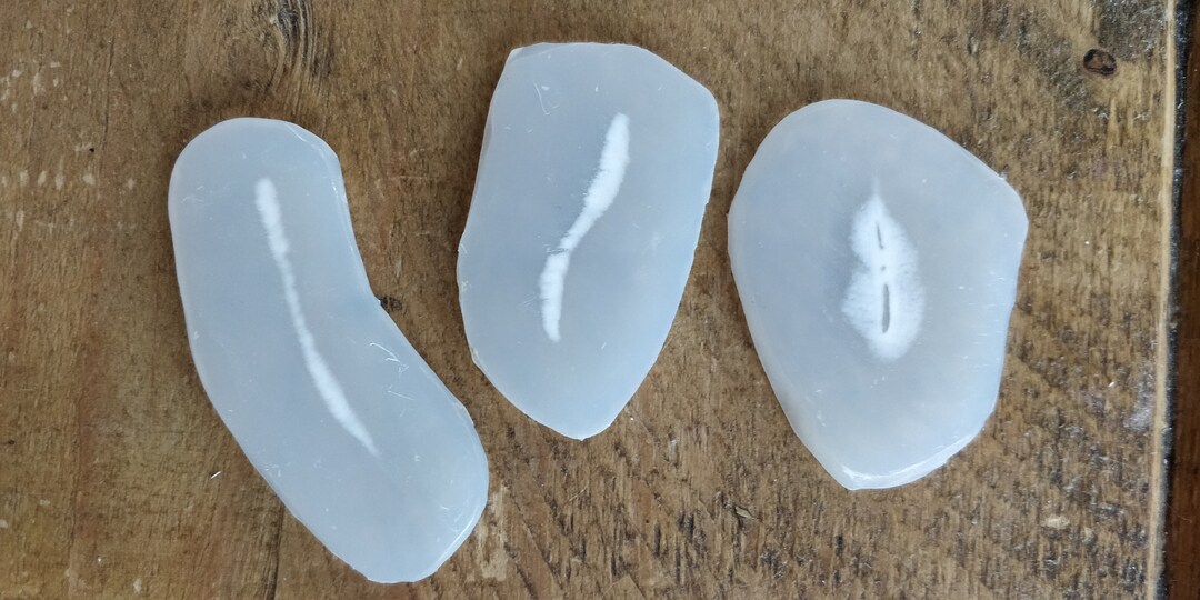 SFX Bondo Transfer Starter Kit for Small Cuts and Scars - Etsy