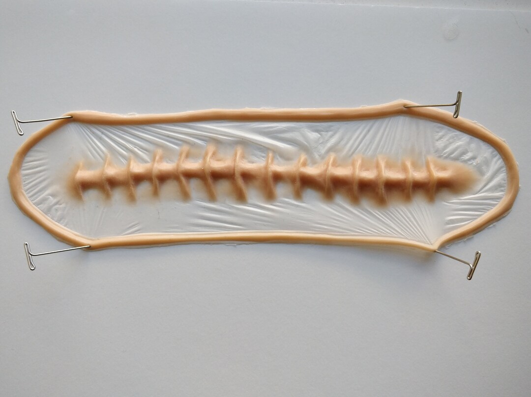 Sci-fi Alien Spine Silicone Prosthetic - Etsy