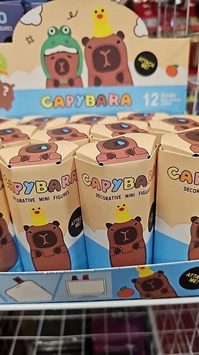 Capybara Hippers Blind Box Set of 12 – Kawaii Party Favors, Mini ...