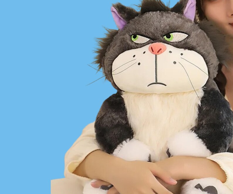 Grumpy Cat Plush Toy – Funny Angry Cat Stuffed Animal, Soft Kawaii ...
