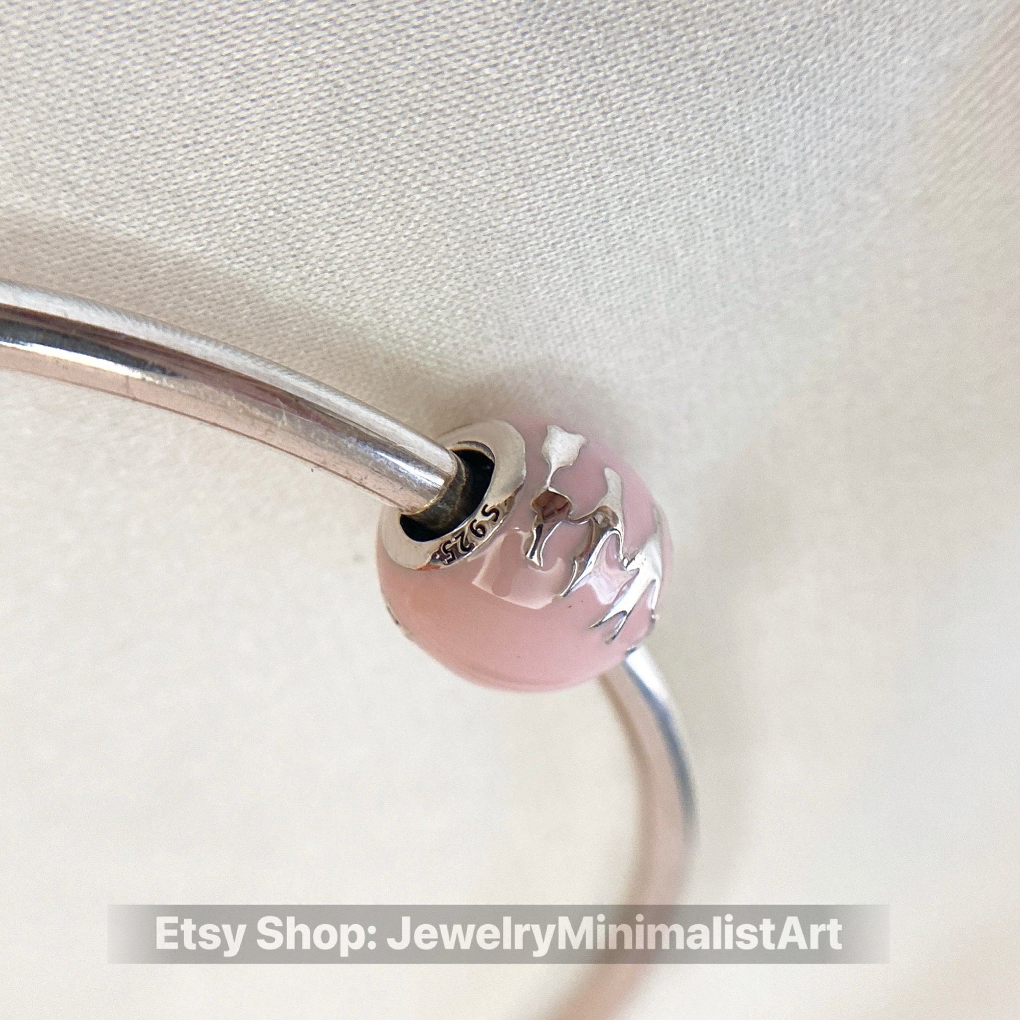 Disney Family Portrait & Disneyland Castle Charm Fits All - Etsy Ireland