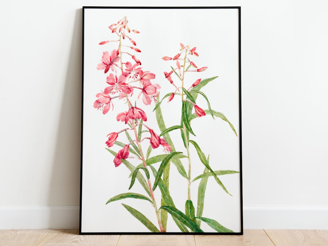 Fireweed Floral Watercolor Painting | Digital Art Print | Printable ...
