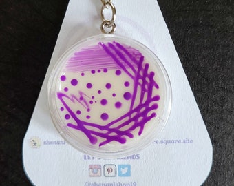 Listeria Petri Dish Keychain / Microbiology Agar Art / Bacteria Science ...