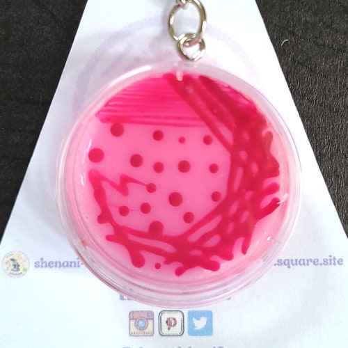 E. Coli EMB Petri Dish Keychain / Microbiology Agar Art / - Etsy