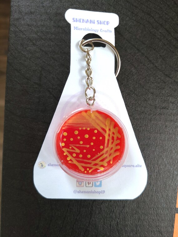 Staphy Aureus Blood Agar Petri Dish Keychain/badge | Etsy UK