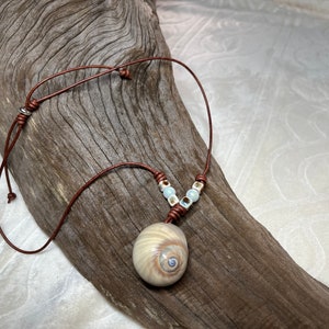 Shark Eye Seashell, Necklace, Leather Cording, Slip On, Nautical ...