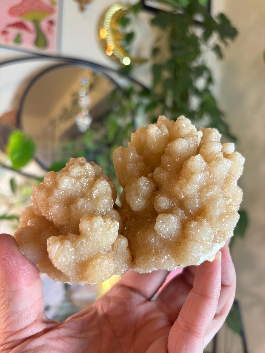 Orange Calcite Specimen Crystal Cluster L Orange Calcite L Orange ...