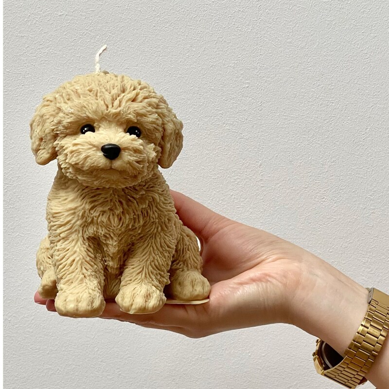 Dog Candle - Etsy
