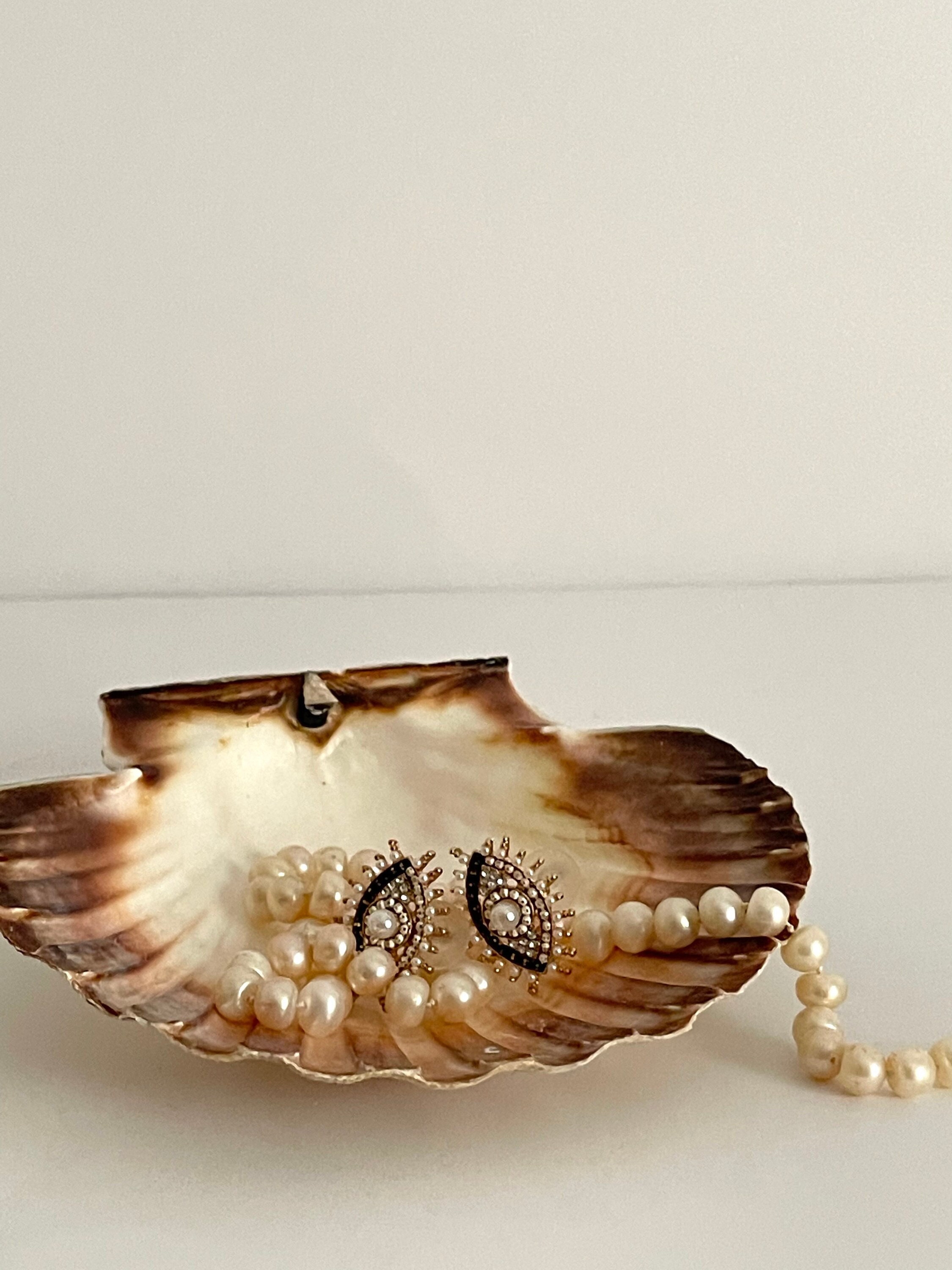 10 Set of Shells Craft Supply Large SET OF Shells Shell for | Etsy