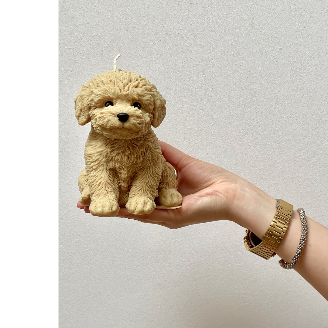 Handmade Soy Wax Puppy Candle | Teddy Dog Home Decor, Poodle Candle - Etsy