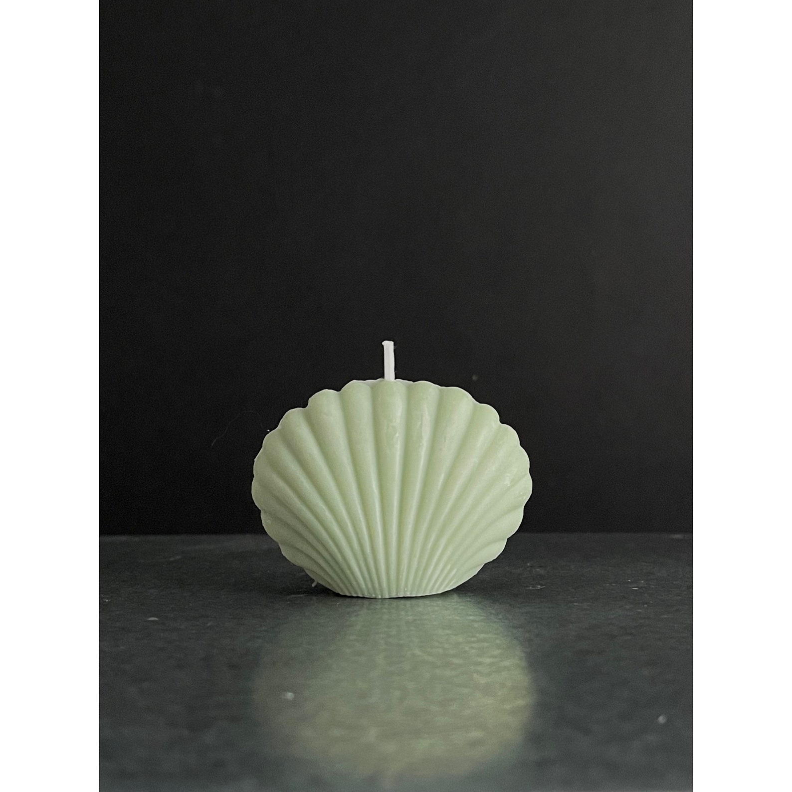 Shell Candles Soy Wax Candle Home Decor Scallop Shell - Etsy