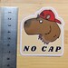 No Cap Capybara Sticker - Etsy
