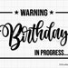 Warning Birthday Trip in Progress Svg Birthday Trip Svg - Etsy