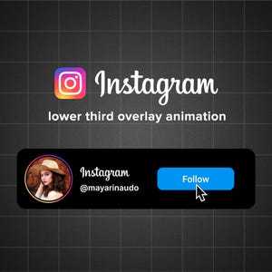 Custom Animated Instagram Follow Button Overlay for Intro Videos With Story Ring - Etsy UK