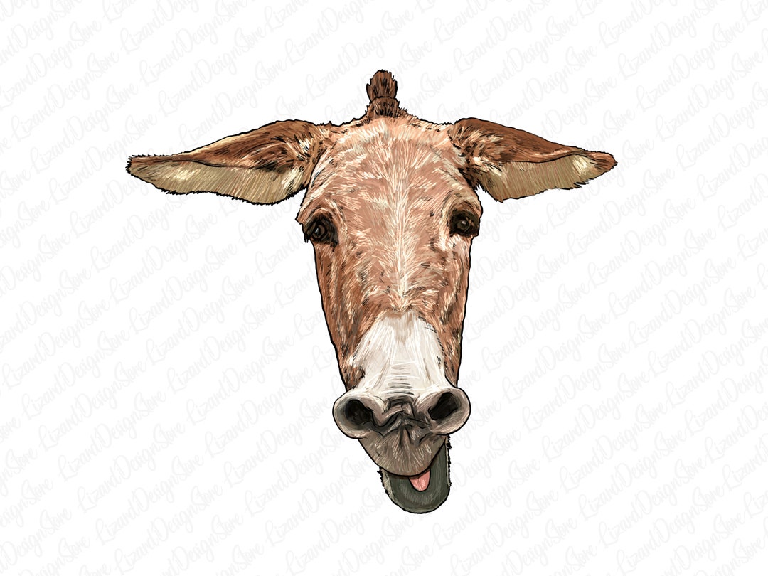 Sublimación de mula png, mula de acuarela png, mula dibujada a mano png ...