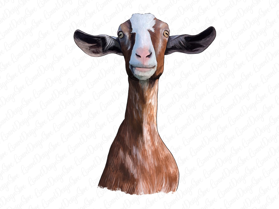 Cute Goat Face Png Sublimation Design,hand Drawn Goat Png,animals Goat ...