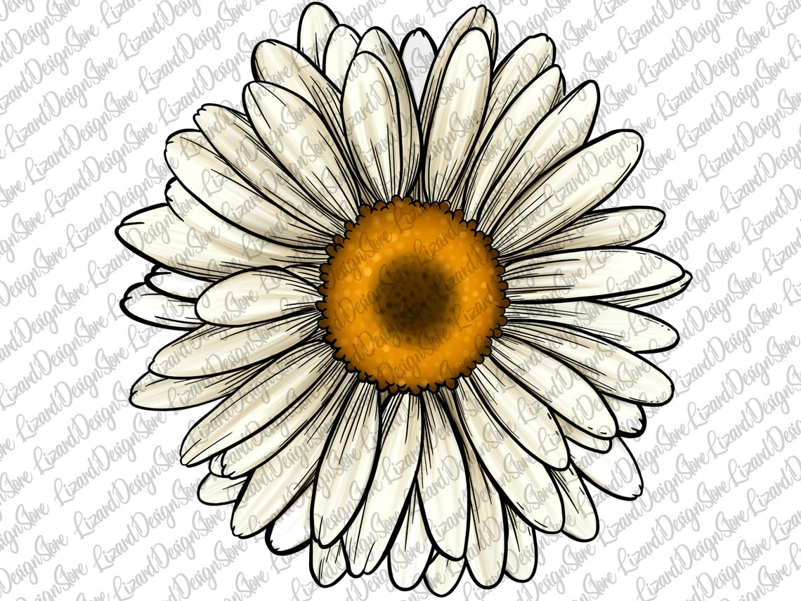 Daisy PngFlower Png Daisy flower Png Sunflower PngDaisy | Etsy