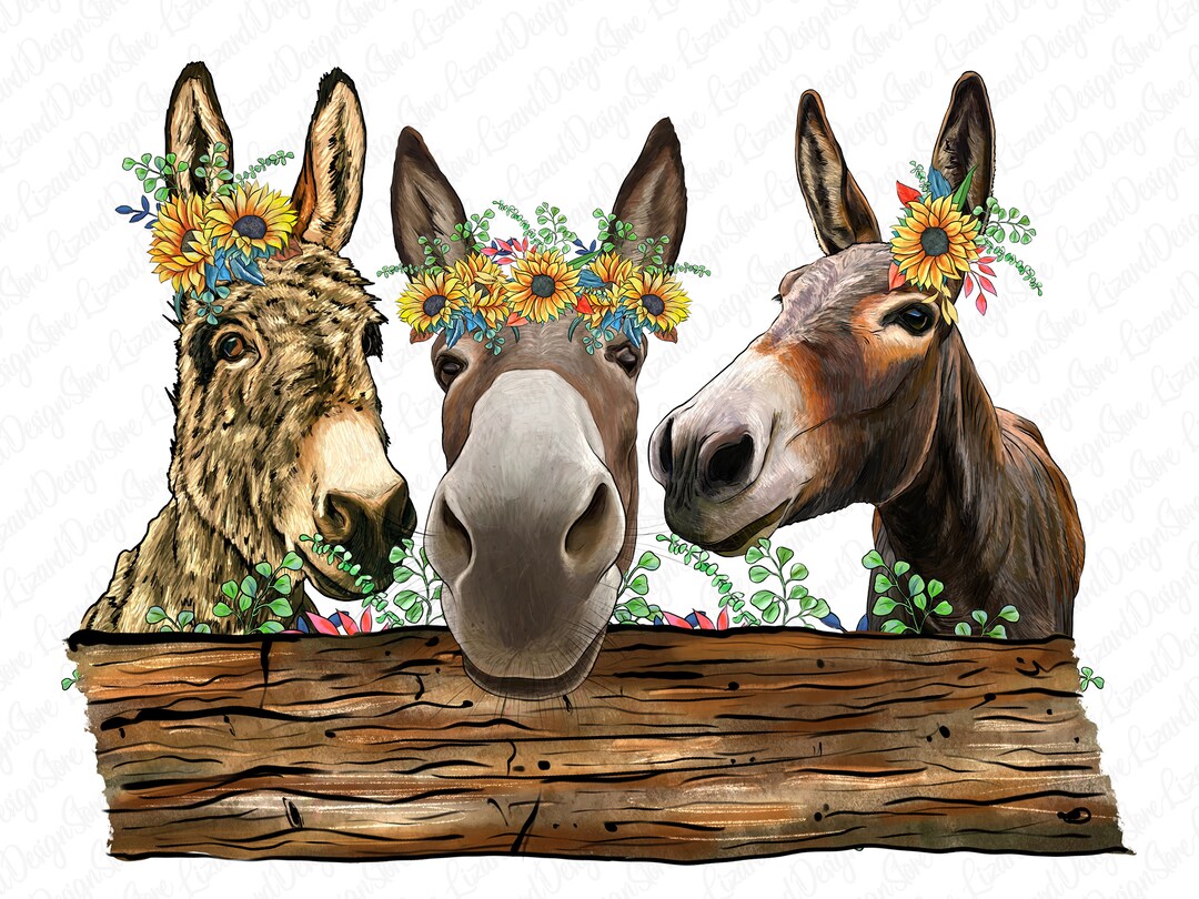 Western Donkeys Png Sublimation Design,donkey Png,farm Animal Png,farm ...