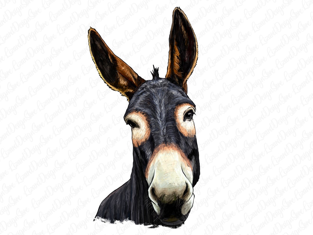 Donkey Face Png Sublimation Design,hand Drawn Donkey Png,animals Donkey ...