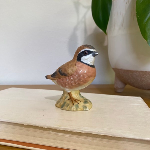 Bob White Quail - Etsy