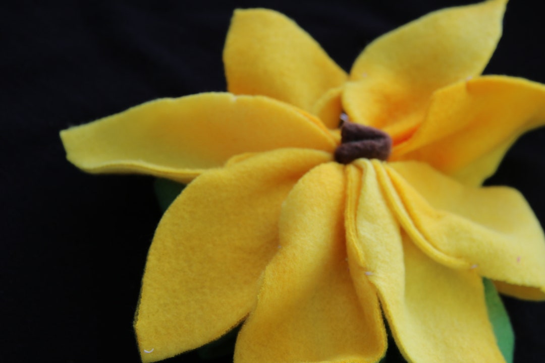 Sunflower Sugar Glider Snuggie Toy Grapevine Small Animal Toys Birds ...