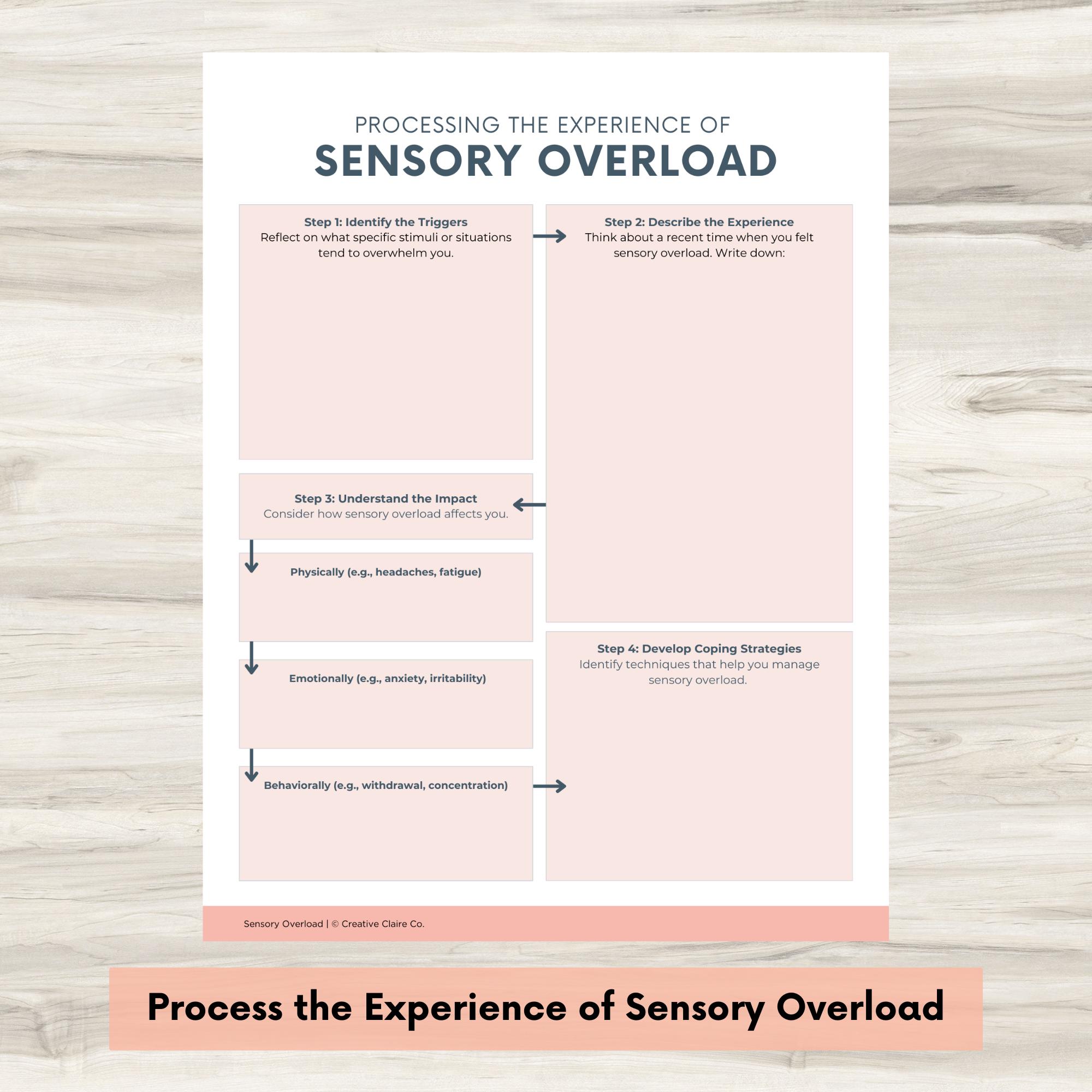 Sensory Overload Toolbox: Coping Worksheets for Self-regulation ...