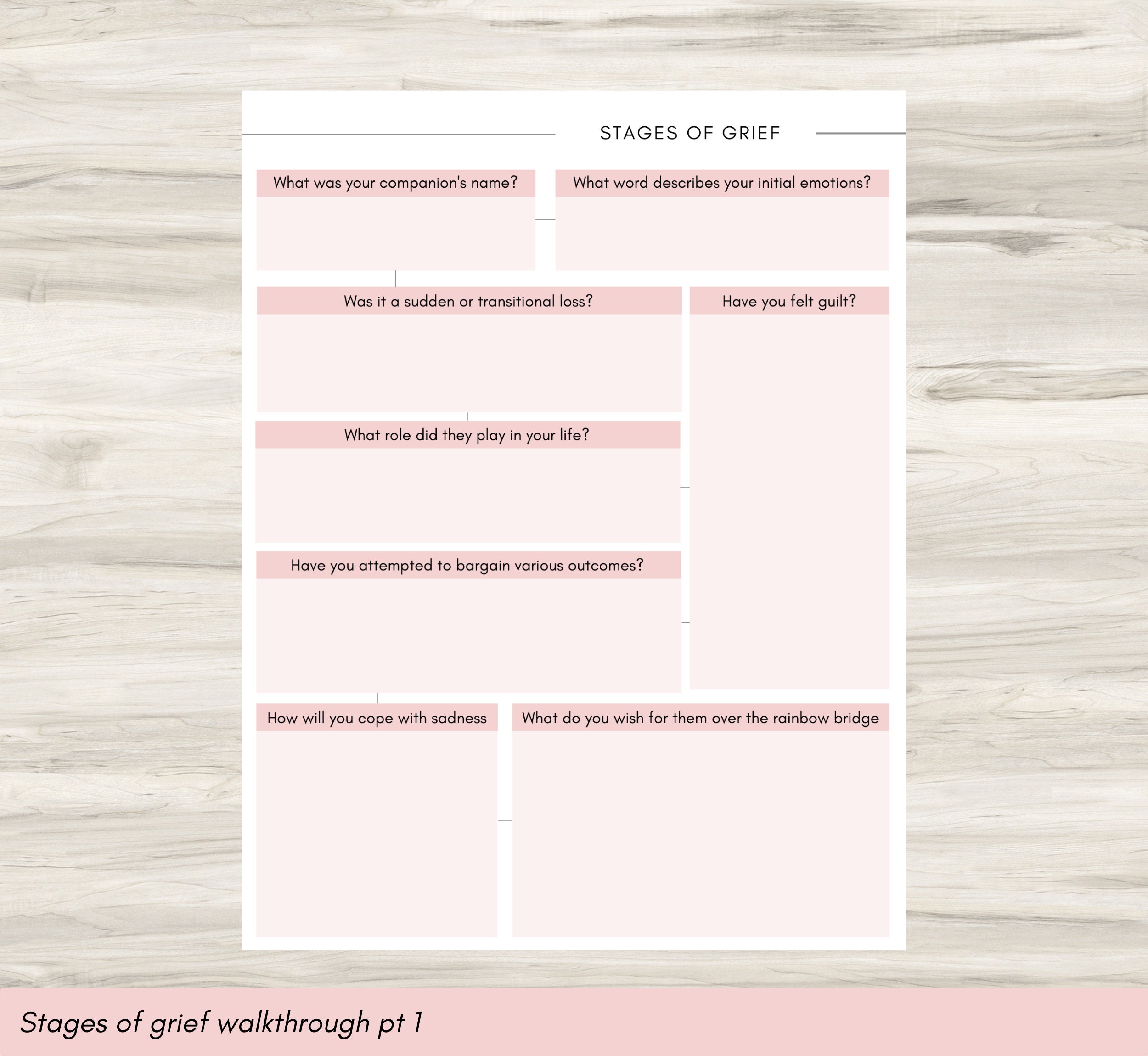 Pet Loss Grief Processing Journal Remembrance Journal Guided - Etsy