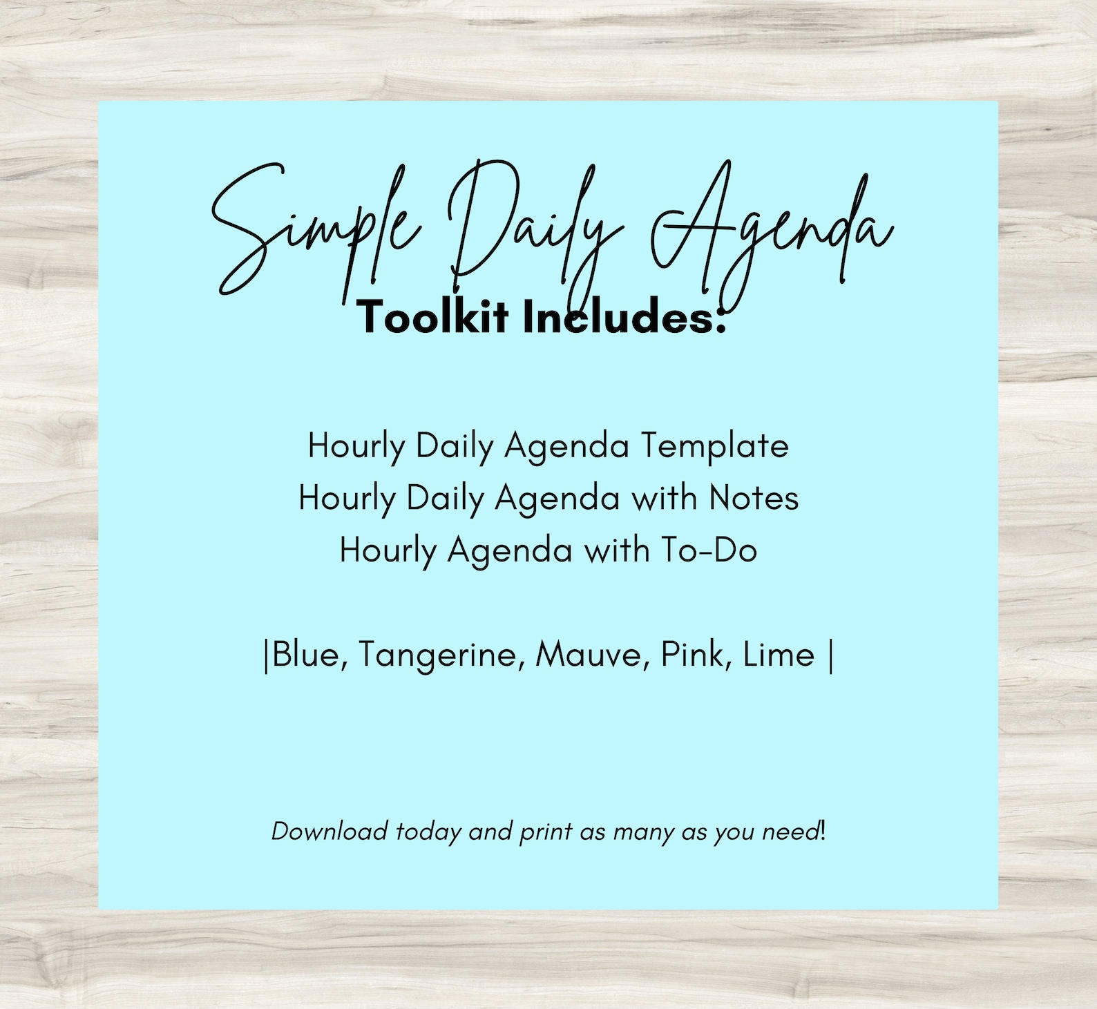 Daily Agenda Template Hour Weekly Schedule Daily Schedule | Etsy