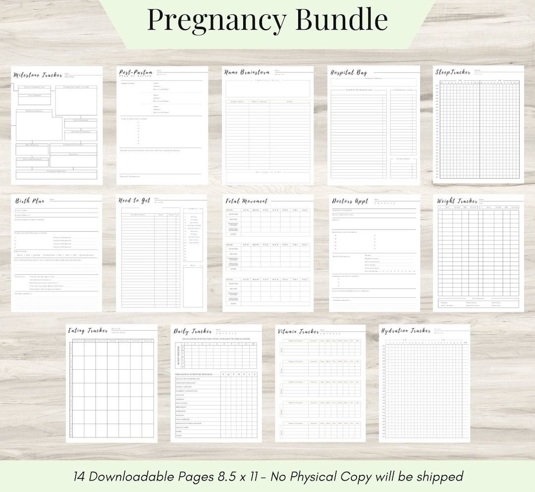 Pregnancy Planner Printable, Pregnancy Preparedness, Printable ...