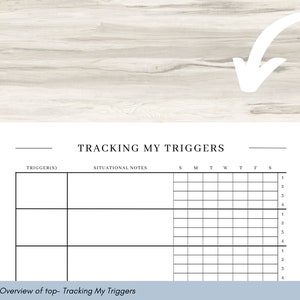 Trigger Tracker, Trigger Processing Digital, Thought Processing, Daily ...