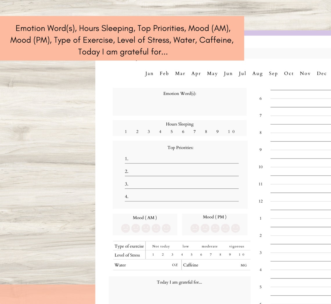 Daily Mood Planner Mood Tracker Planner Template for Daily - Etsy