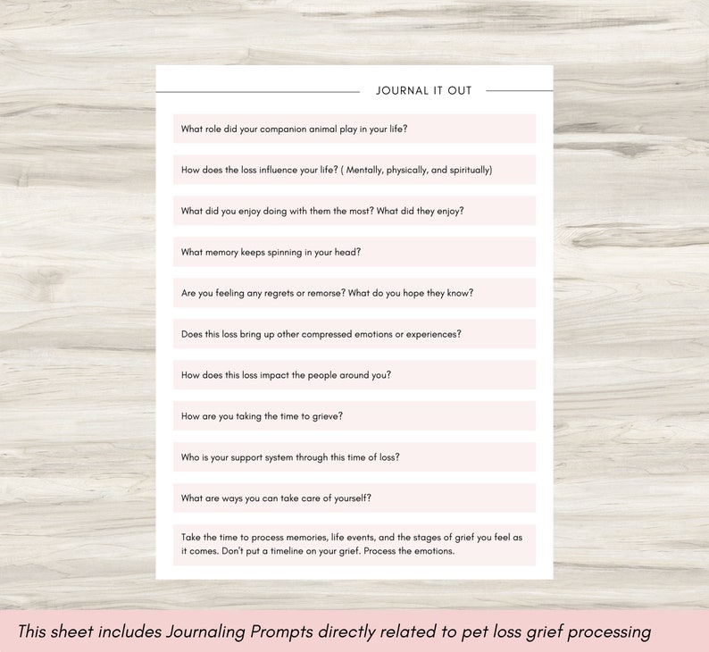 Pet Loss Grief Processing Journal Remembrance Journal Guided - Etsy