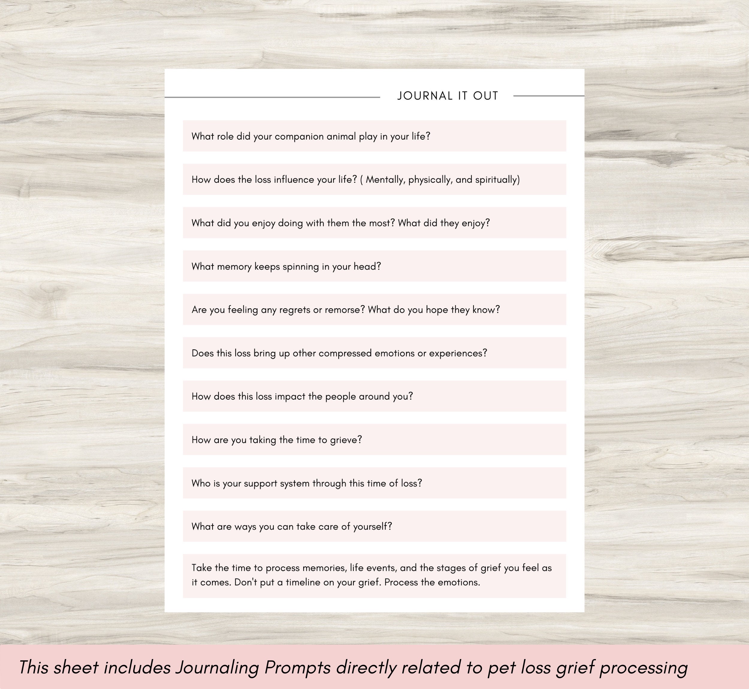 Pet Loss Grief Processing Journal Remembrance Journal Guided - Etsy