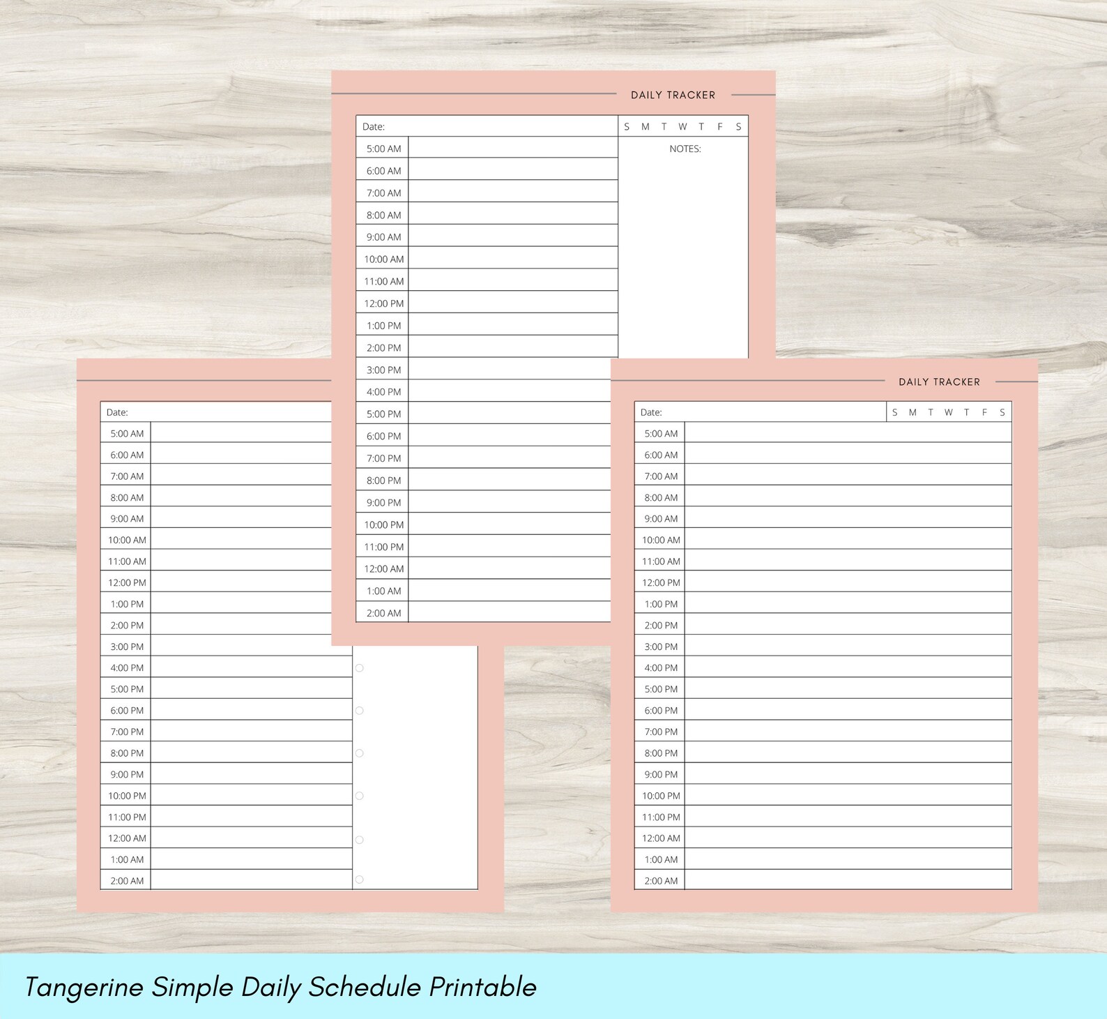 Daily Agenda Template Hour Weekly Schedule Daily Schedule - Etsy