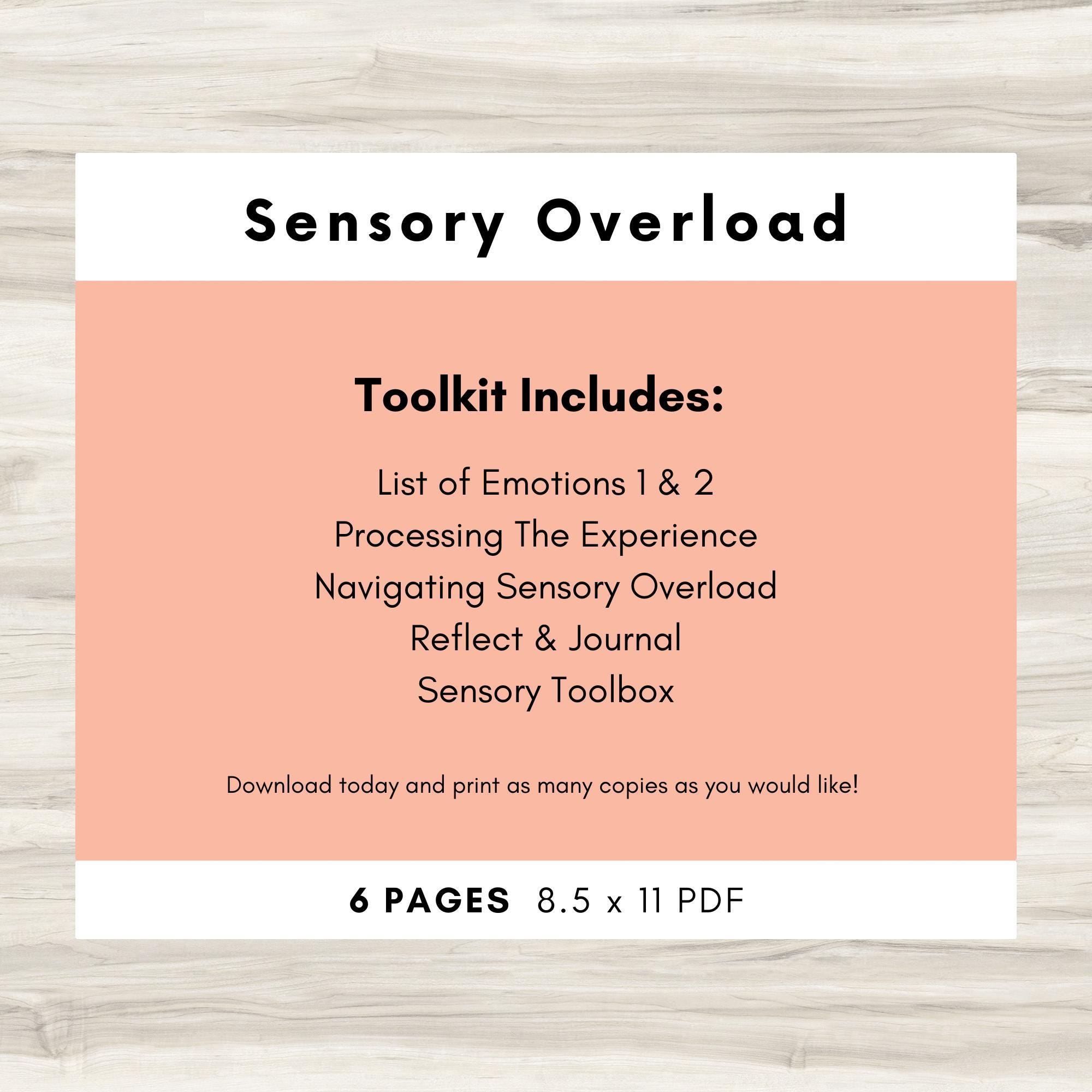 Sensory Overload Toolbox: Coping Worksheets for Self-regulation ...