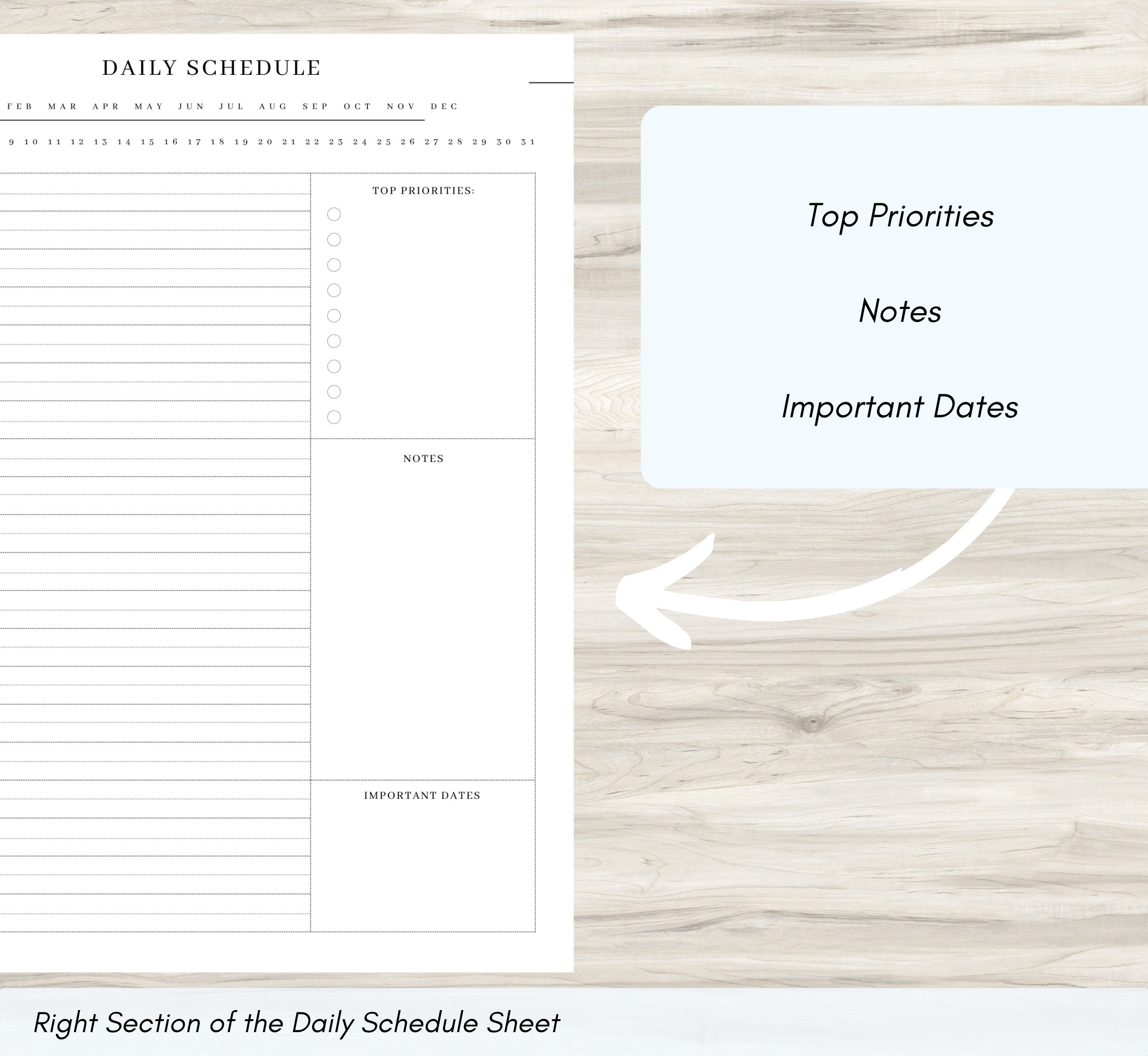 Daily Schedule Sheet, Daily Planner Printable, Daily Planner 2025 ...