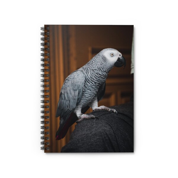 Gray Parrot - Etsy