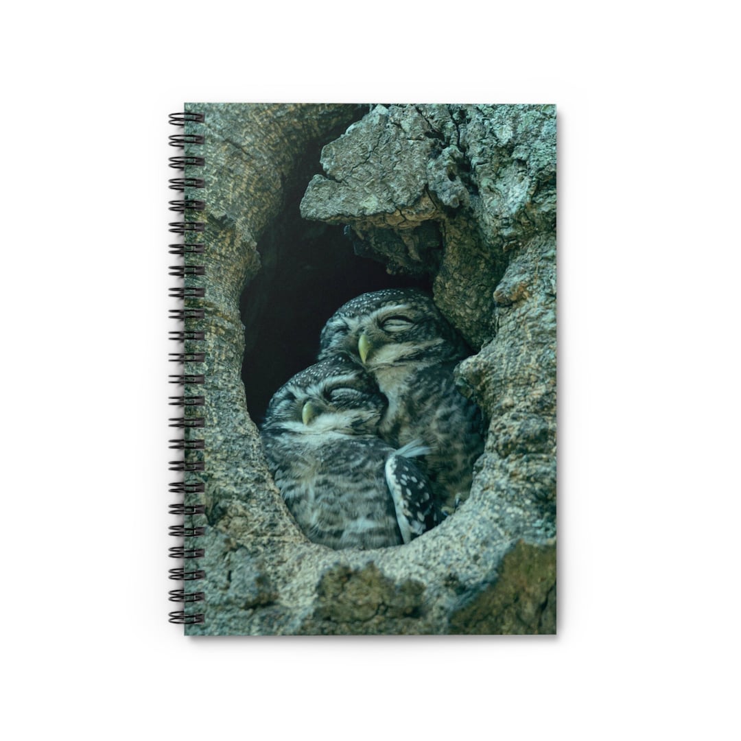 Owls Sleeping Journal, Diary, Notebook, and Planner - Etsy