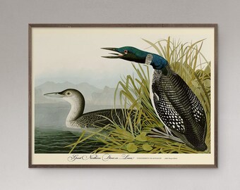 Loon Printable Art - Etsy