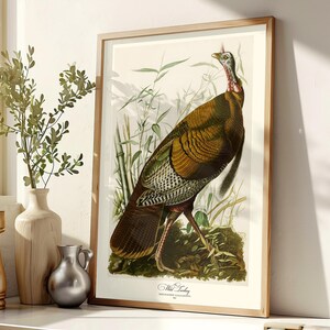 John James Audubon Bird Print Wild Turkey Vintage Poster Retro Nature ...
