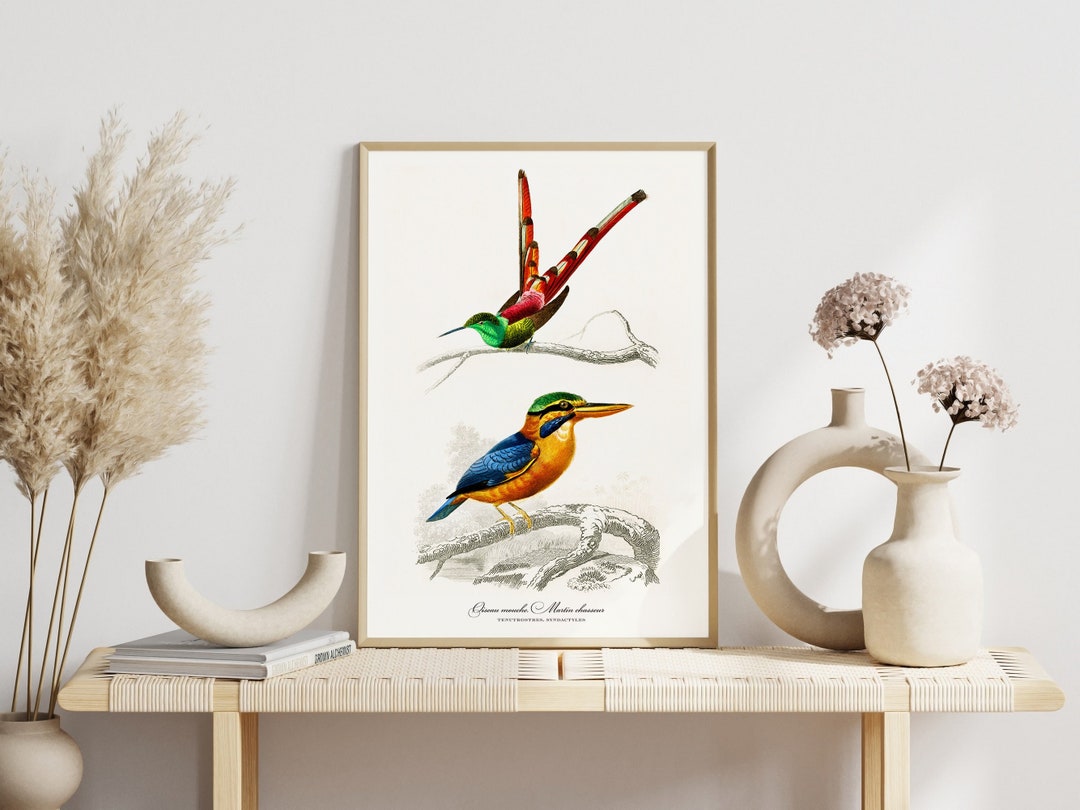 John James Audubon Bird Print Oiseau Mouche Martin Vintage Poster Retro ...