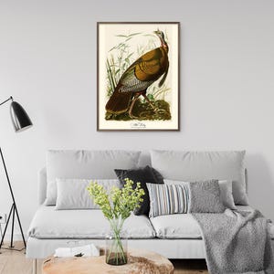 John James Audubon Bird Print Wild Turkey Vintage Poster Retro Nature ...