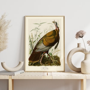John Audubon Gallery Wall Art Set of 6 Bird Print Pelican Owl Poster ...