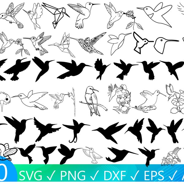 Simple Hummingbird Svg - Etsy