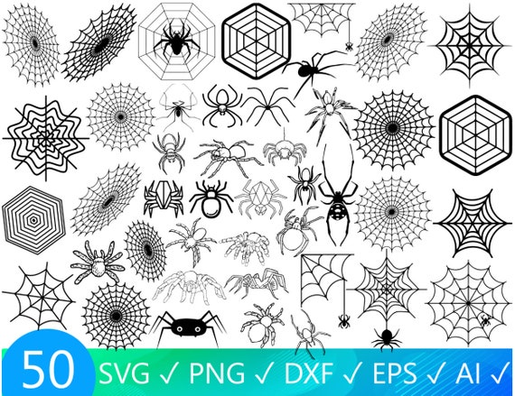 50 Spider Web Designs Spider Web Svg Spider Svg Spider Web | Etsy