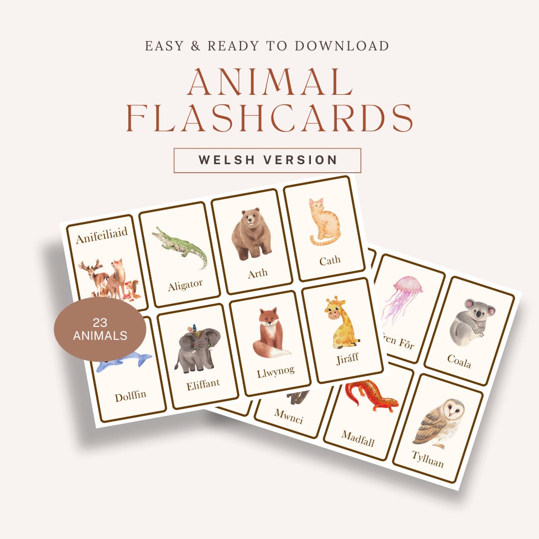 Welsh Animal Flashcards Downloadable - Etsy UK
