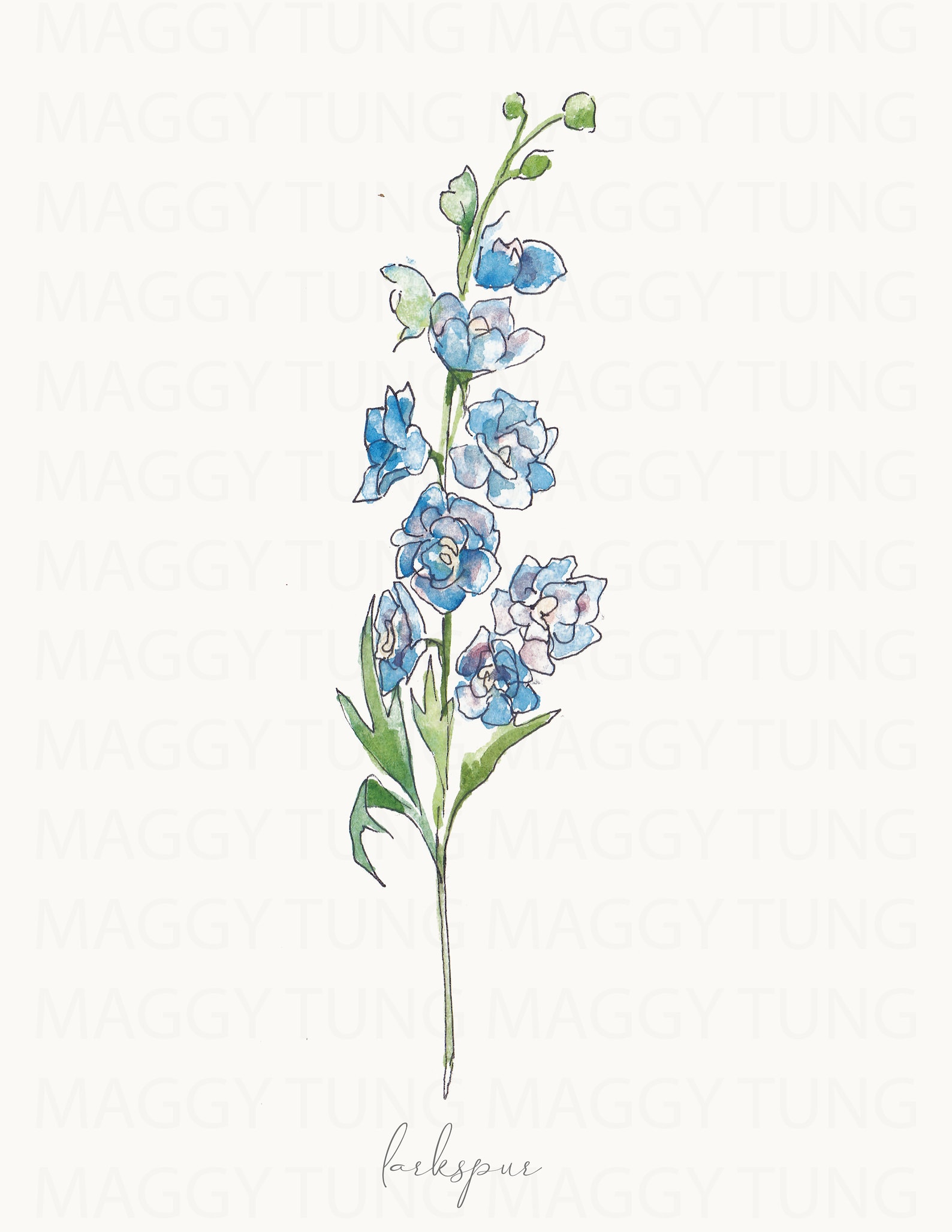 July Larkspur Birth Flower Watercolor Print PDF | Etsy